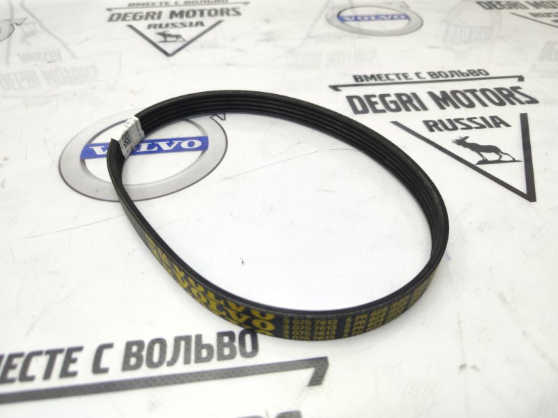 Ремень компрессора кондиционера Volvo XC60 30757613 купить новая id66303
